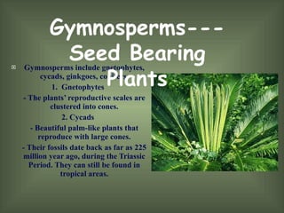 22-4 Seed Plants | PPT | Gardening | Home & Garden
