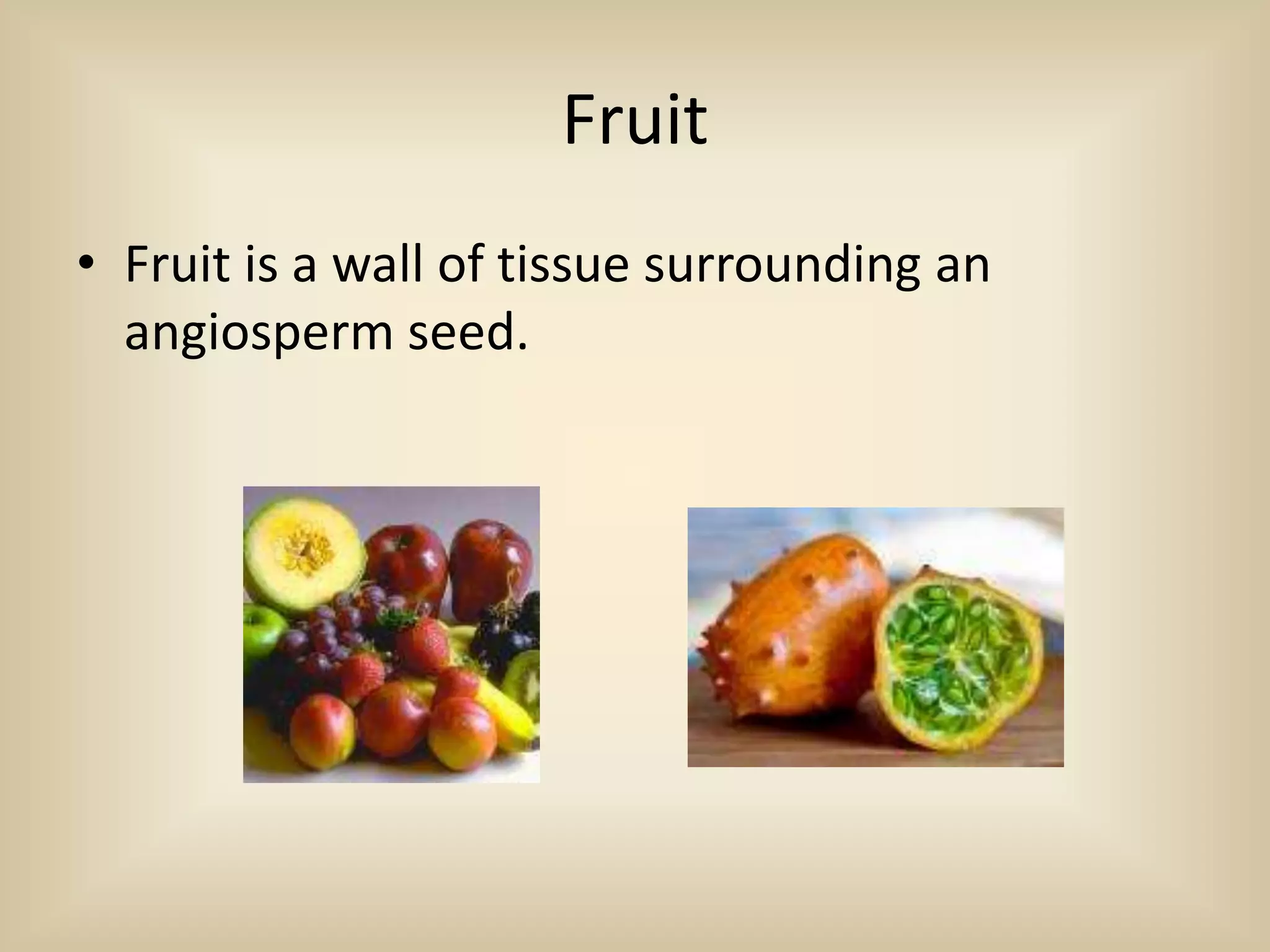 22 5 Angiosperms Flowering Plants | PPT