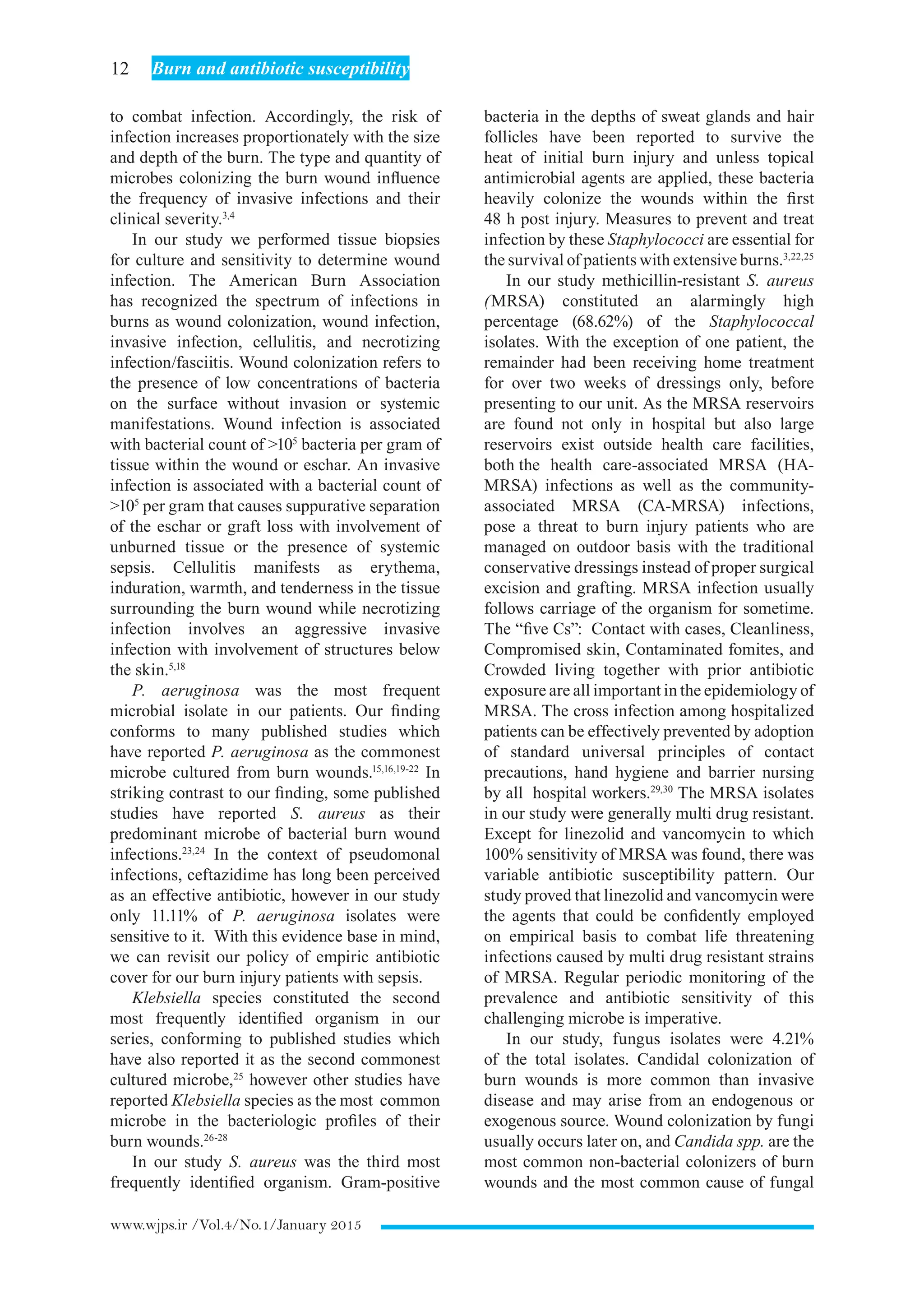 Burn wound infections | PDF