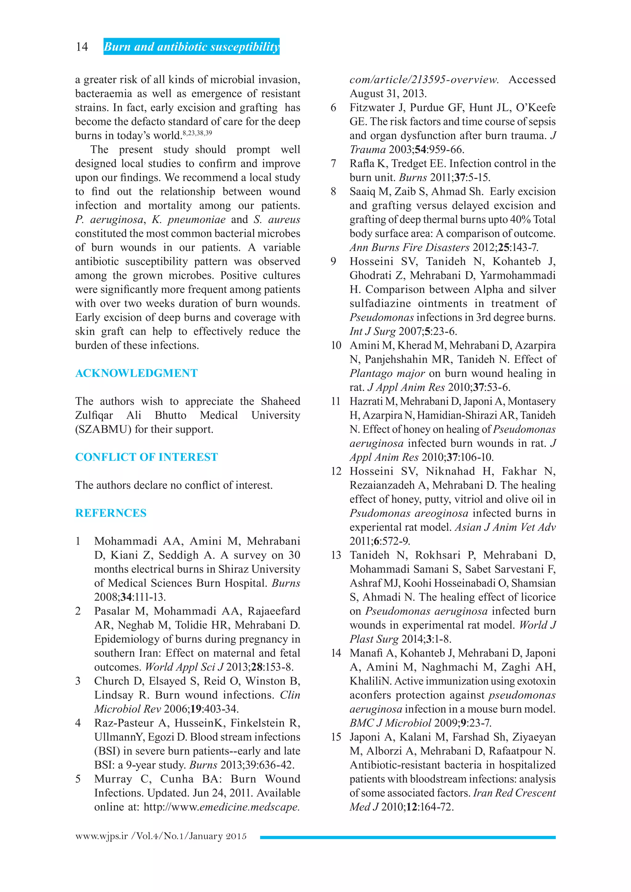 Burn wound infections | PDF