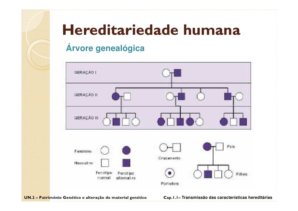 22 ExtensõEs Da Genetica Mendeliana