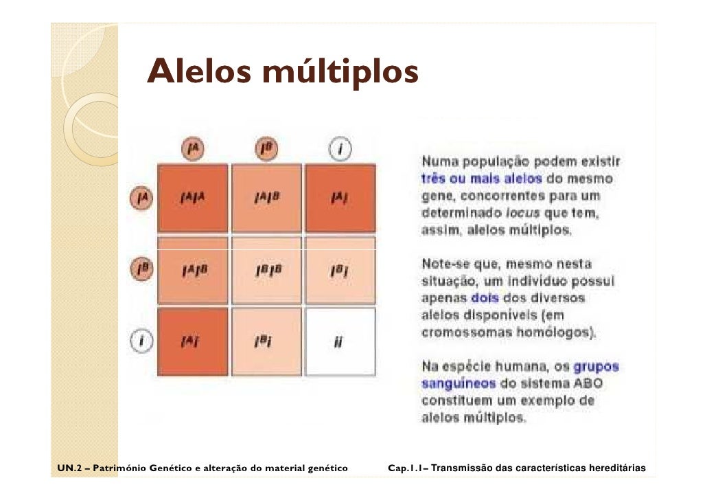 22 ExtensõEs Da Genetica Mendeliana
