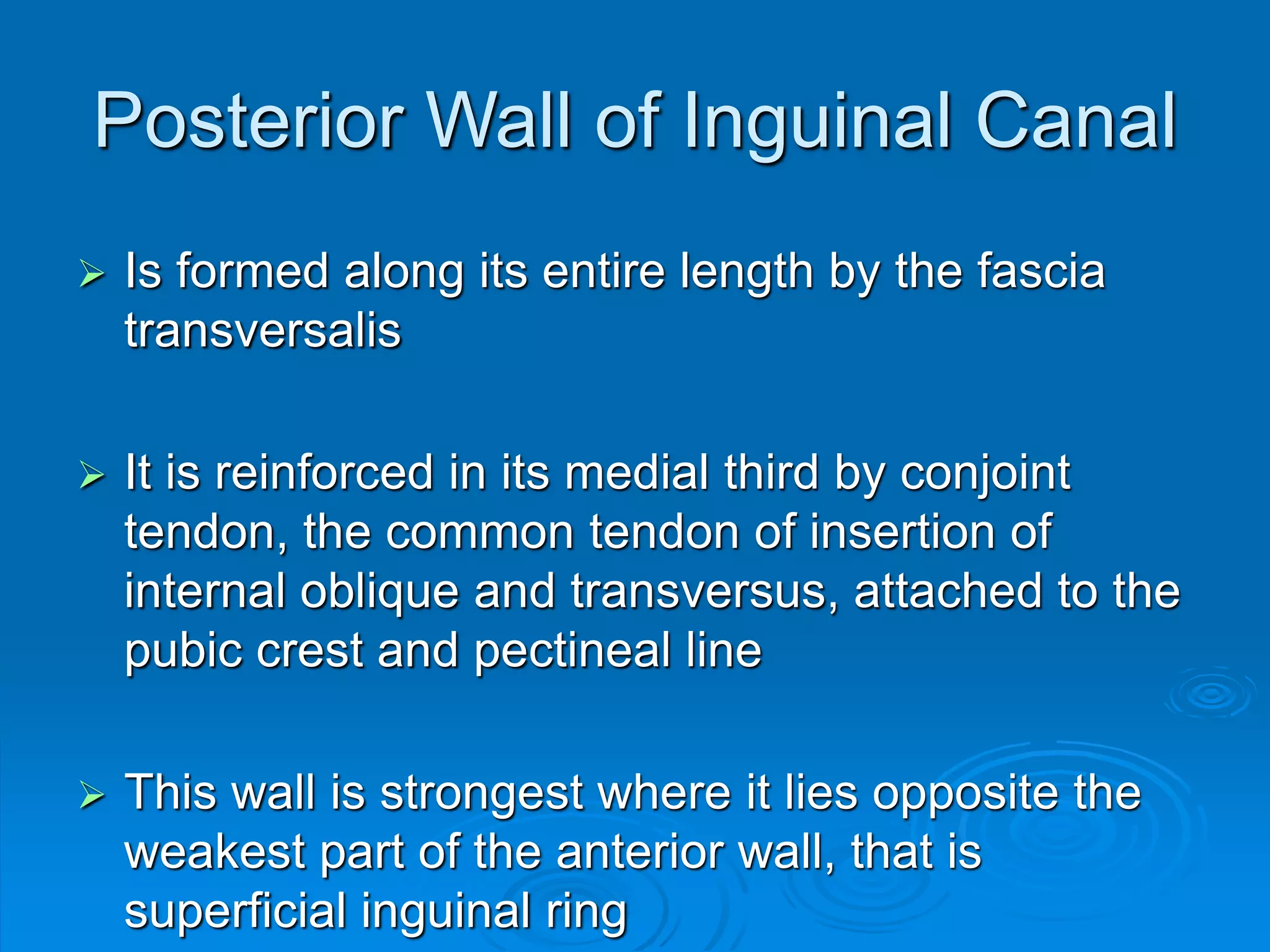 22 Inguinal Canalppt