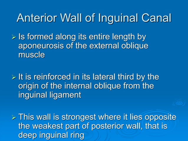 22-Inguinal Canal.ppt