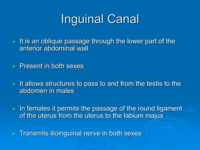 22-Inguinal Canal.ppt
