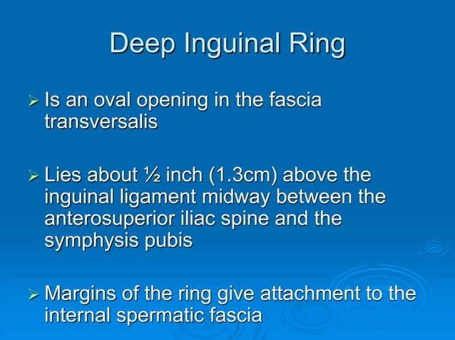 22 Inguinal Canalppt