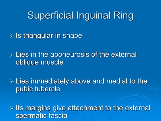 22-Inguinal Canal.ppt