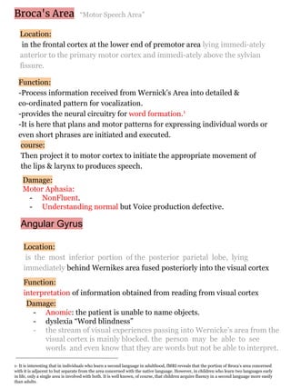 22-Physiology of speech and the anatomy of respiratory system | PDF