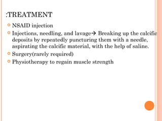 shoulder joint | PPT