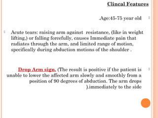 shoulder joint | PPT