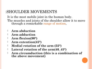 shoulder joint | PPT