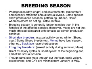 22 ther 608 breeding season | PPT