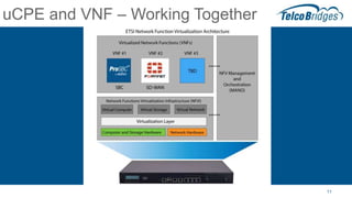 uCPE and VNFs Explained | PPT