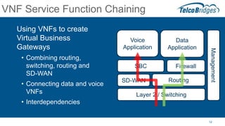 uCPE and VNFs Explained | PPT