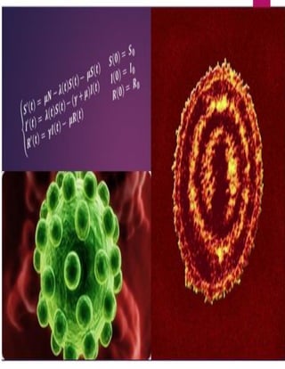 Mathematical Model of Varicella Zoster Virus - Abbie Jakubovic | PDF
