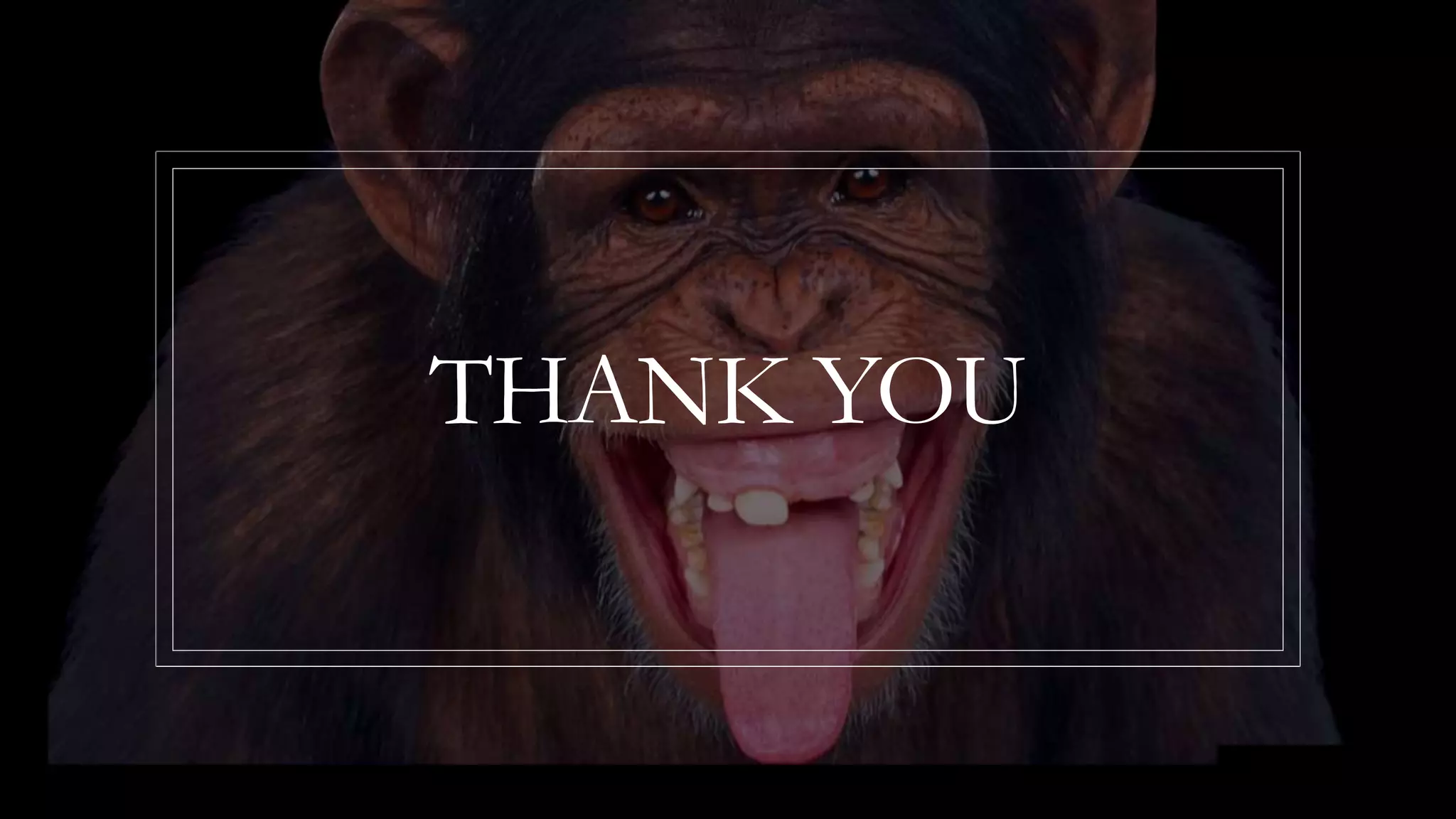 LANGUAGE STRUCTURES AND CONVENTIONS | PPTX