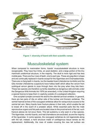 hepertology LIZARDS unit 6.docx