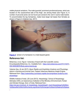 hepertology LIZARDS unit 6.docx