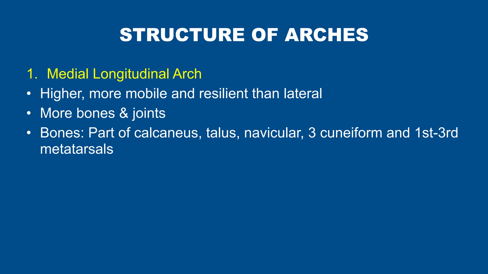 Anatomy PPT- Arches Of Foot (With Pictures) | PDF
