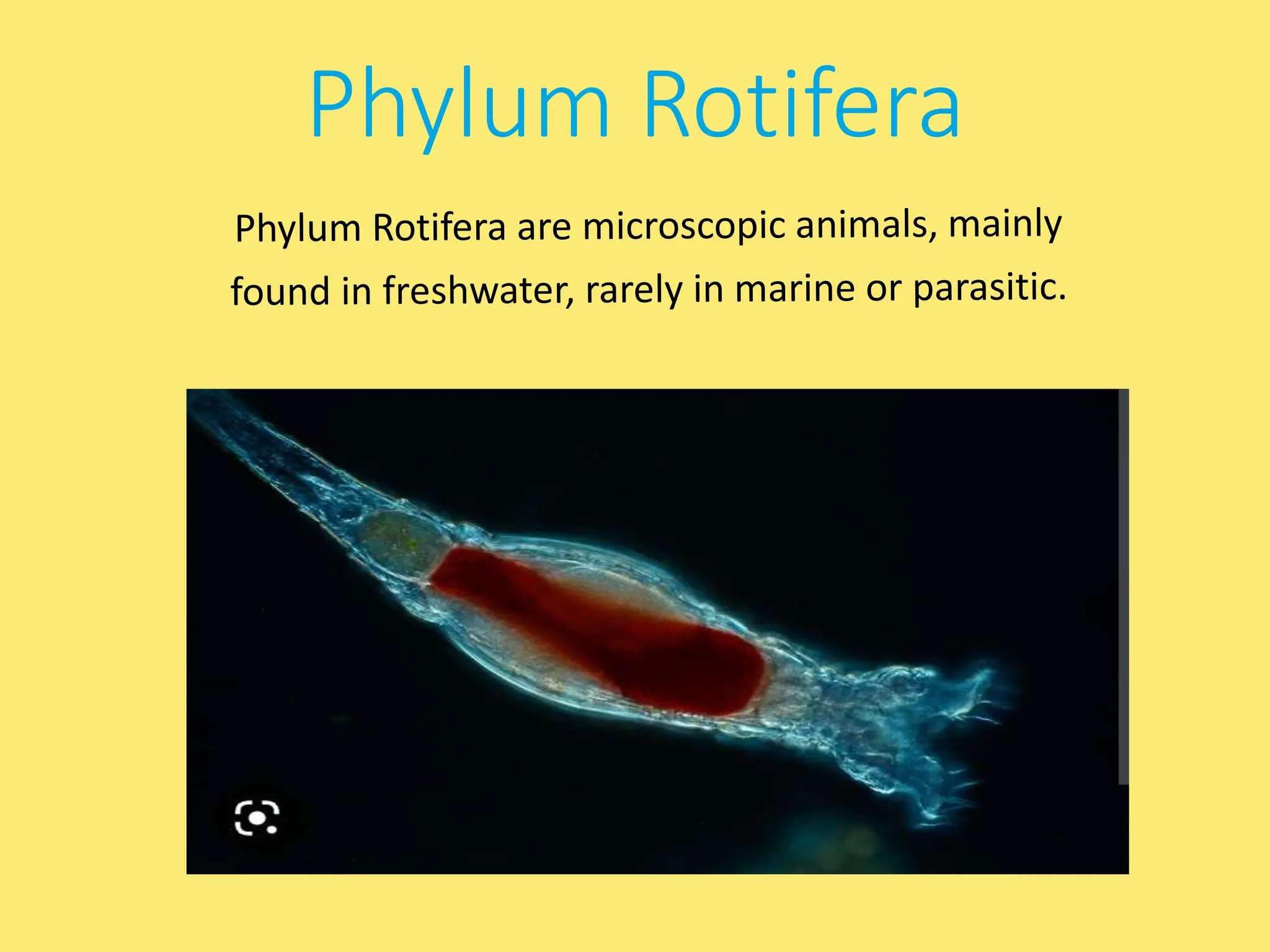 22011514-086 zoo-201 ppt.pptx for helping in exams | PPTX