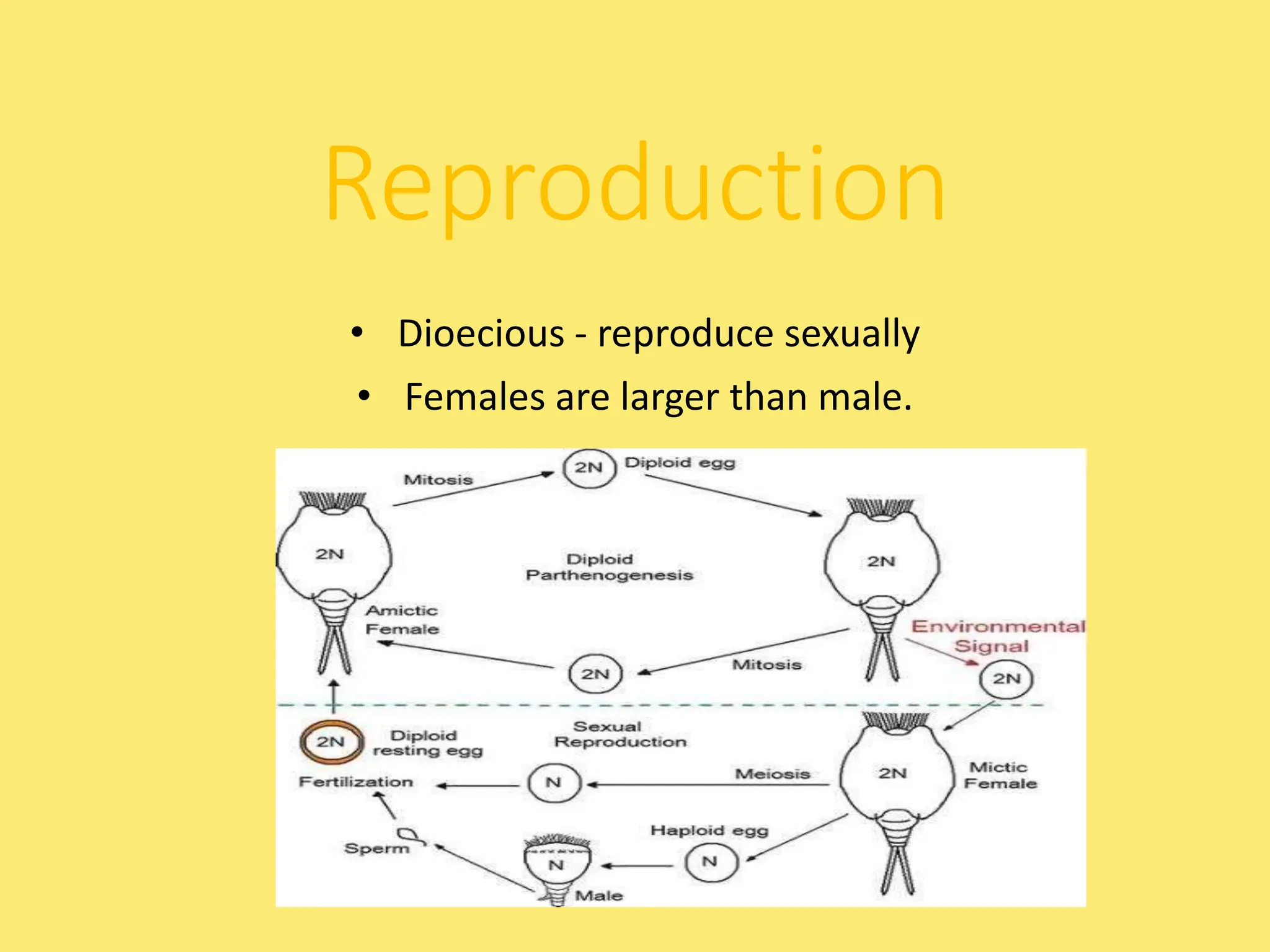 22011514-086 zoo-201 ppt.pptx for helping in exams | PPTX