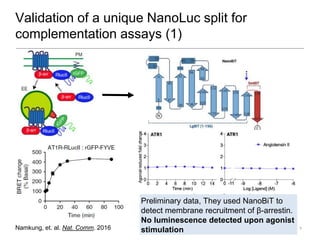 Student Journal Seminar.pptx