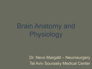 Human brain anatomy and physiologypptx.ppt
