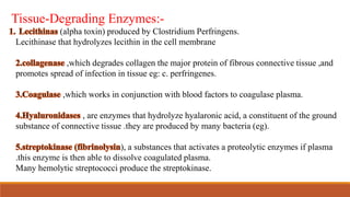 Medical Microbiology | PPTX