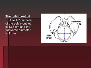 2_2017_10_15!07_38_46_AM.ppt