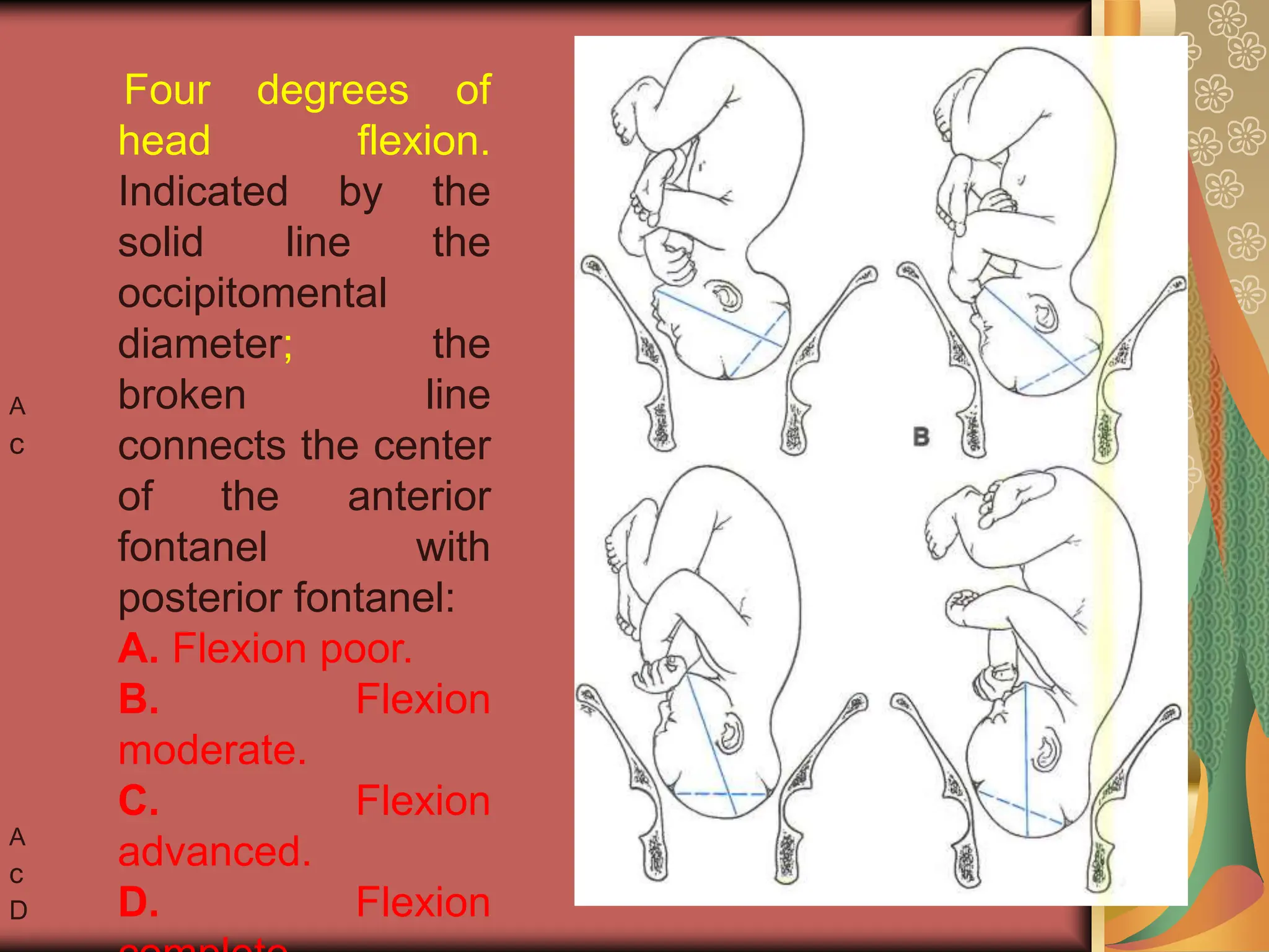 Mechanism of labour | PPT