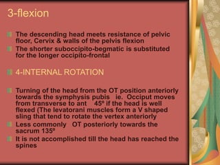 Mechanism of labour | PPT