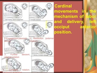 Mechanism of labour | PPT