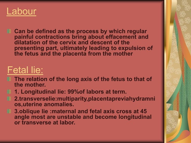 Mechanism of labour | PPT