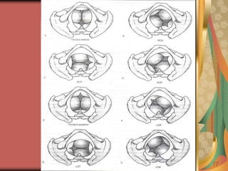 Mechanism of labour | PPT