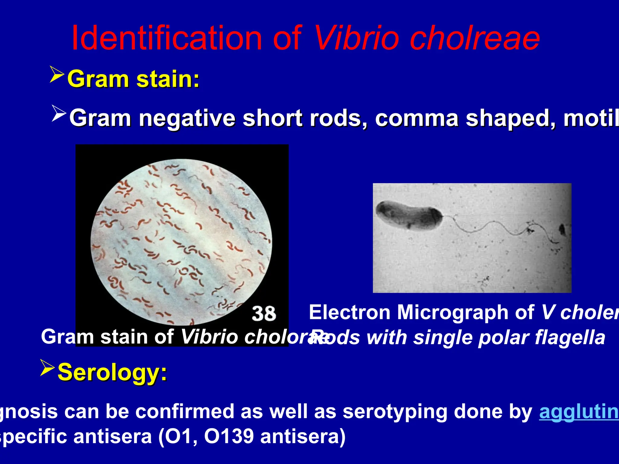 introduction food microbiology and its scope | PPT