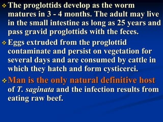 2_2018_12_15!09_27_25_AM (1).ppt