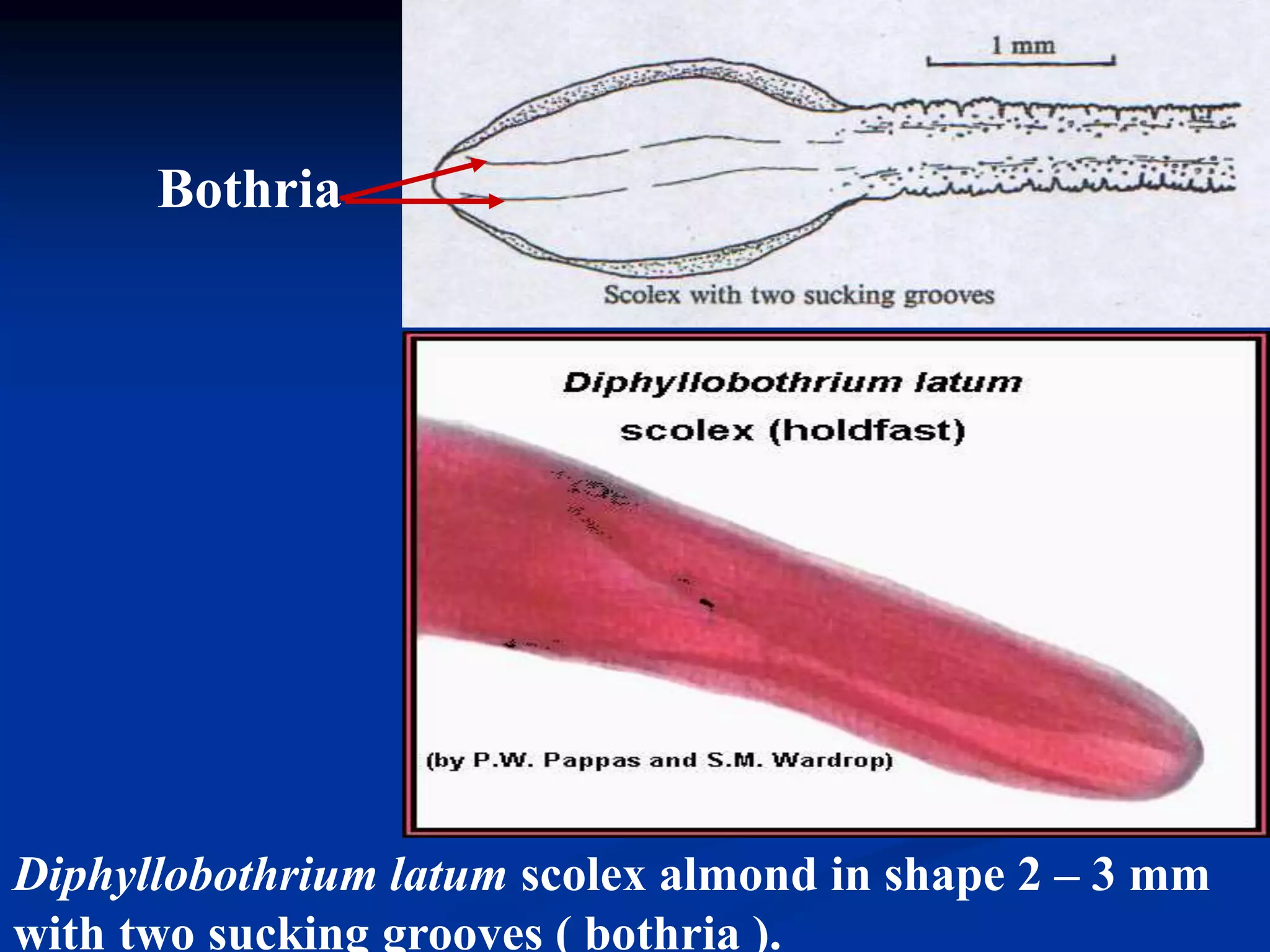 2_2018_12_15!10_30_42_AM.ppt