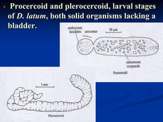 2_2018_12_15!10_30_42_AM.ppt