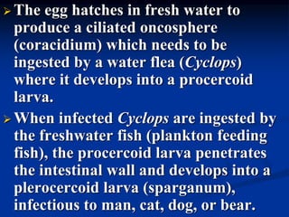 2_2018_12_15!10_30_42_AM.ppt