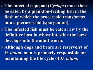 2_2018_12_15!10_30_42_AM.ppt