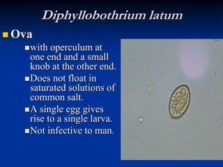 2_2018_12_15!10_30_42_AM.ppt