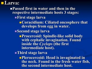 2_2018_12_15!10_30_42_AM.ppt