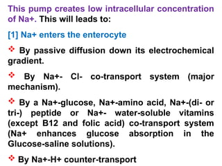 Gastrointestinal tract of the digestive .ppt