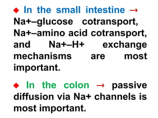 Gastrointestinal tract of the digestive .ppt