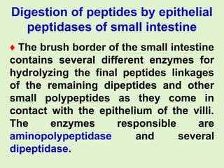 Gastrointestinal tract of the digestive .ppt