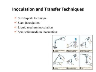 2_2018_12_28!11_21_16_AMbacterial culture.ppt