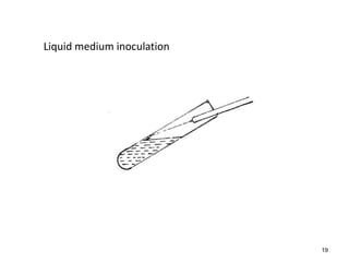 2_2018_12_28!11_21_16_AMbacterial culture.ppt