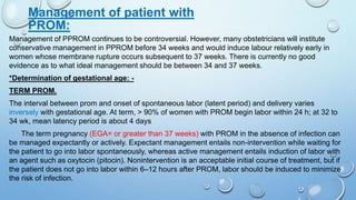 2_2019_02_23!1ehefguuthutyj0_34_21_PM.pptx