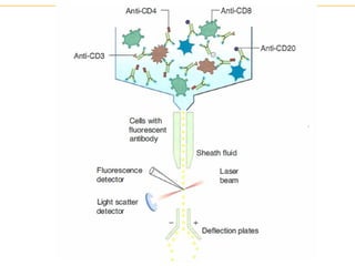 Laboratory techniques in immunology-ag-ab complex | PPT