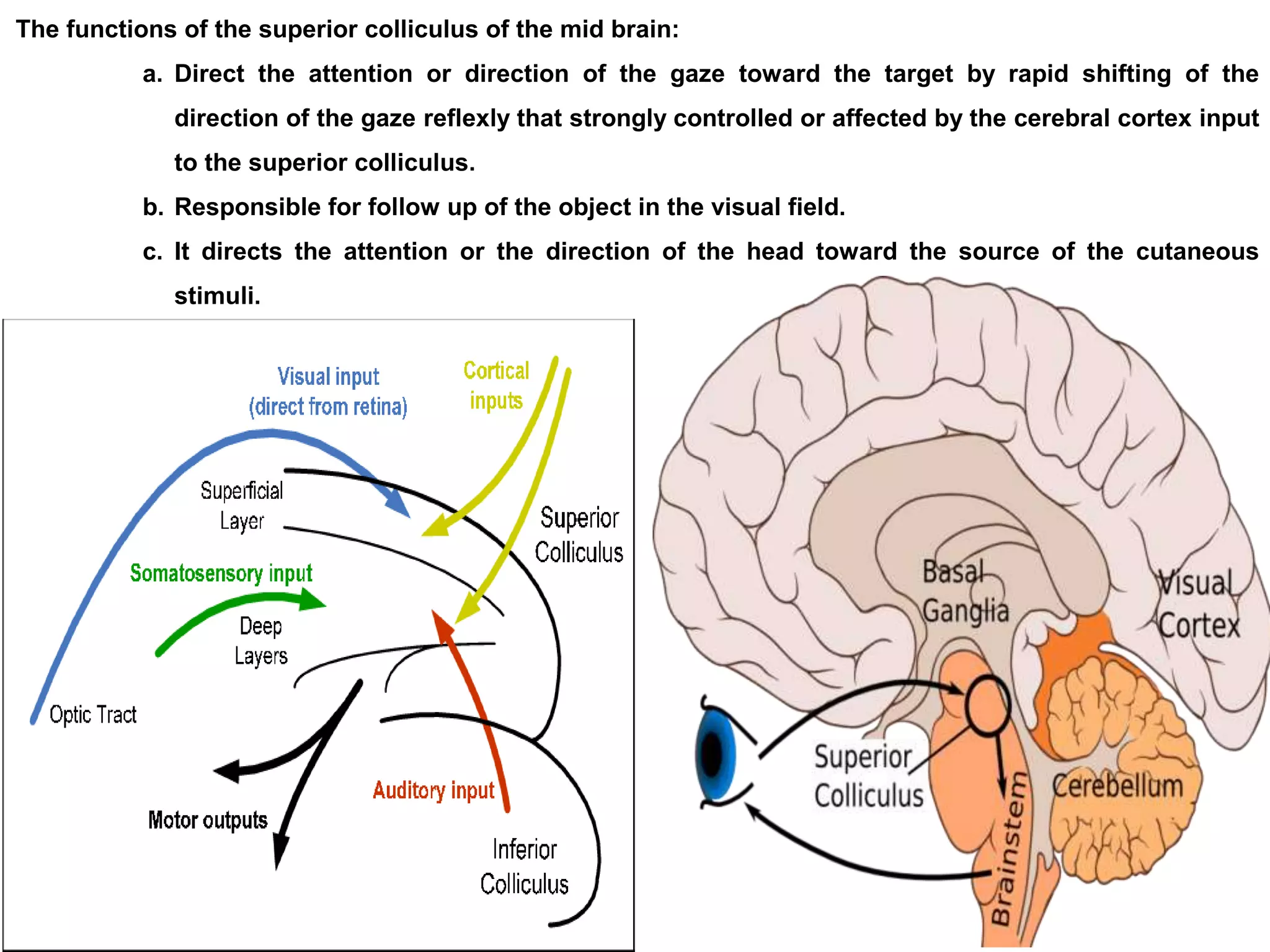 2_2021_09_24!10_51_23_PM.pptx